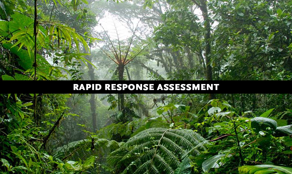 The Natural Fix? The Role of Ecosystems in Climate Mitigation | GRID ...