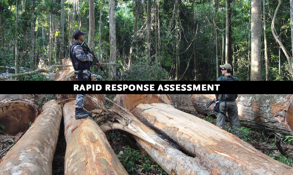 The Environmental Crime Crisis: Threats to Sustainable Development from ...