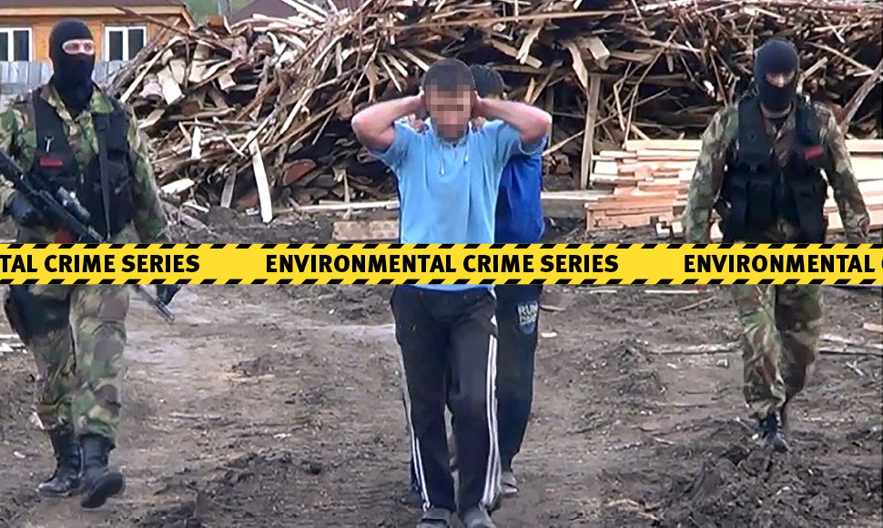 Illegal Logging and Trade in Forest Products in the Russian Federation ...