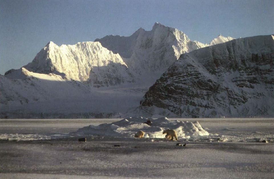 The State of the European Arctic Environment | GRID-Arendal