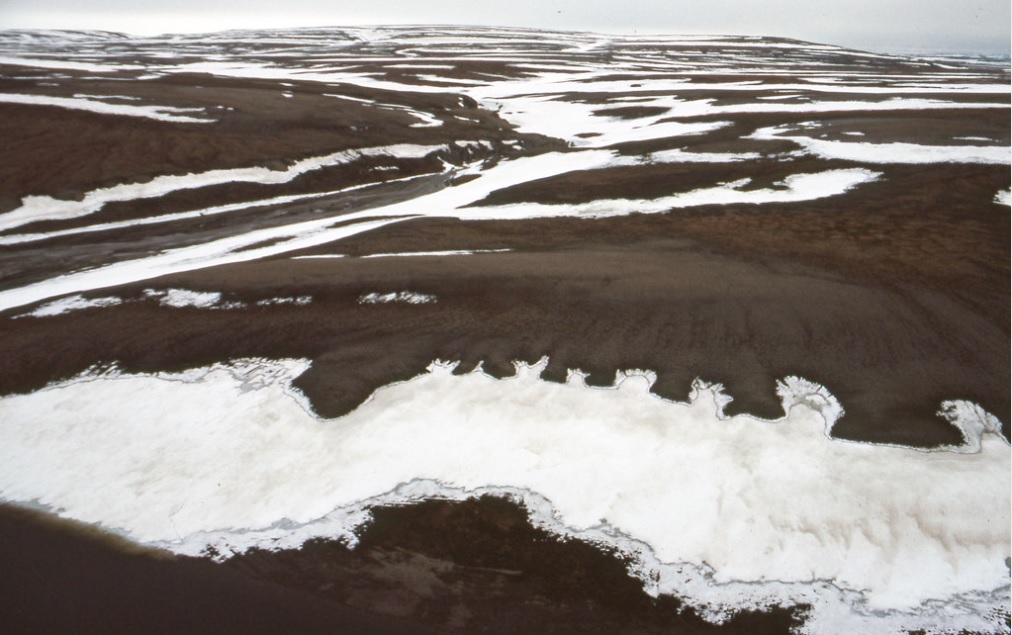 Soil Cover Structure of Russia | GRID-Arendal