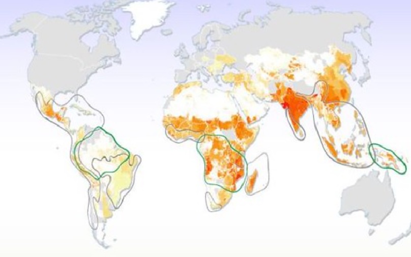Synthesis Report on the International Workshop on Poverty Mapping: 1998 ...