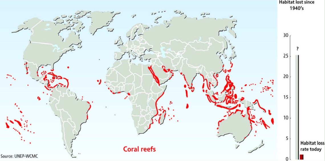 Distribution of Deep-Water Corals along the North American Continental ...